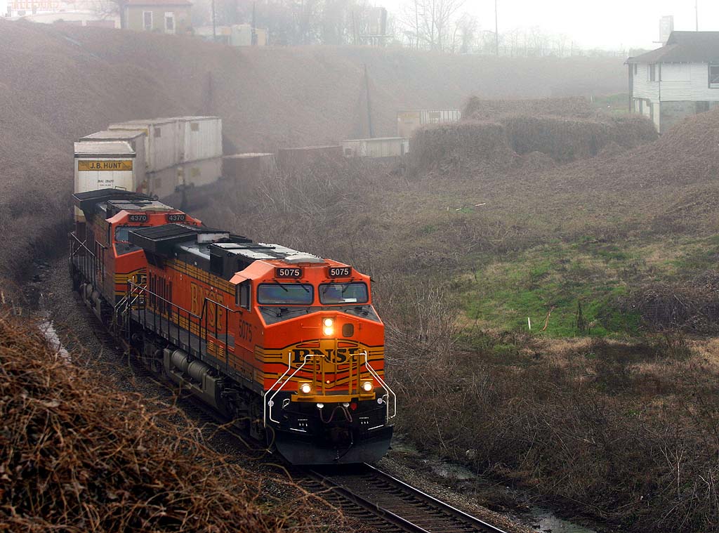 Pumpkins%in the Mist